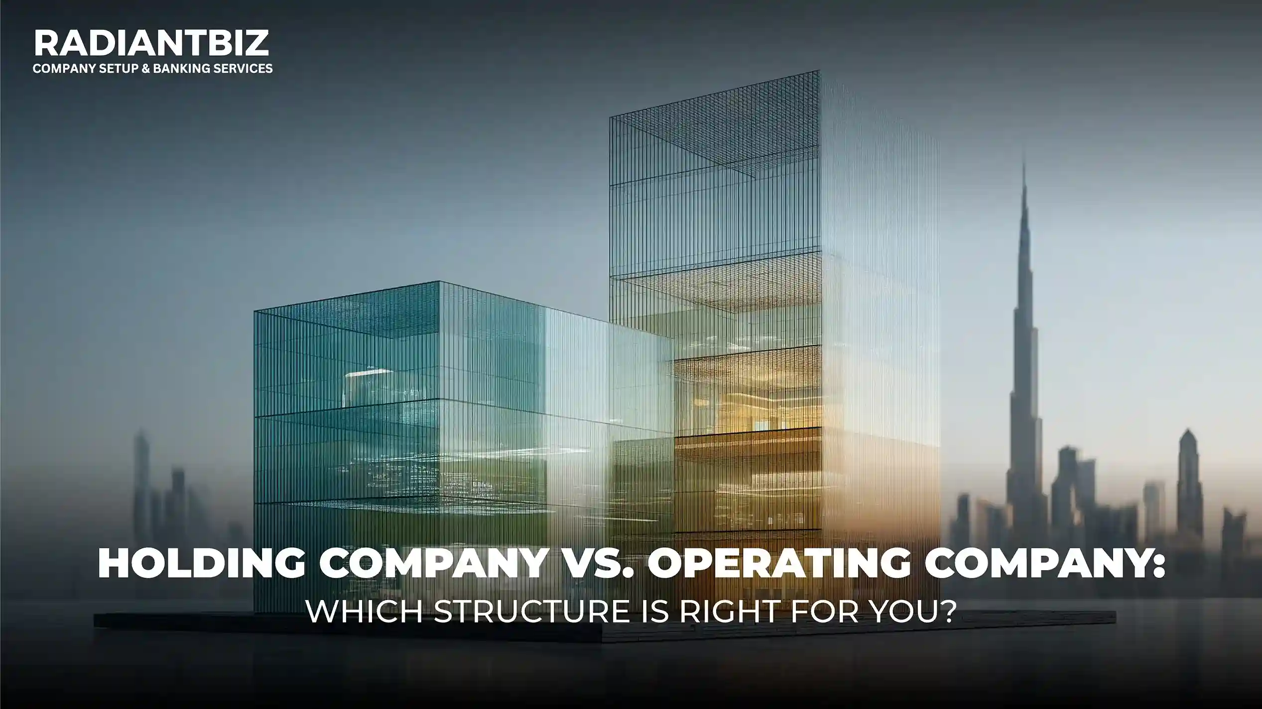 Holding Company vs. Operating Company – What Every Entrepreneur Must Know